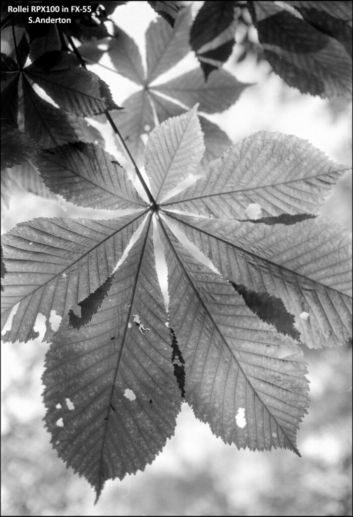 FX-55 B&W Eco Film Developer ~ Geoff Crawley's Formula Evolved by Nik ...