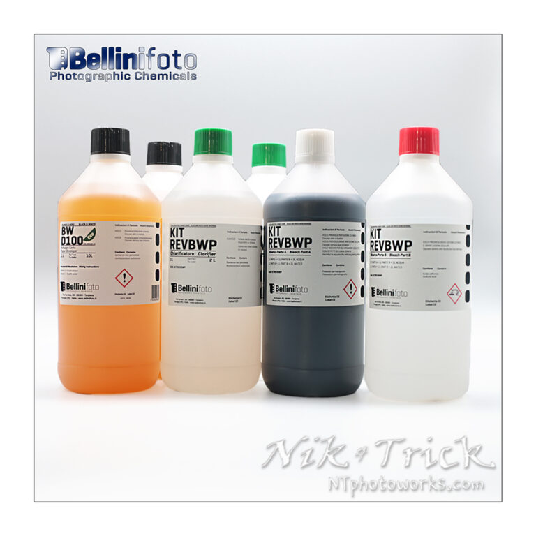BelliniFoto's Unique B&W Paper Reversal Processing Kit - Nik & Trick ...